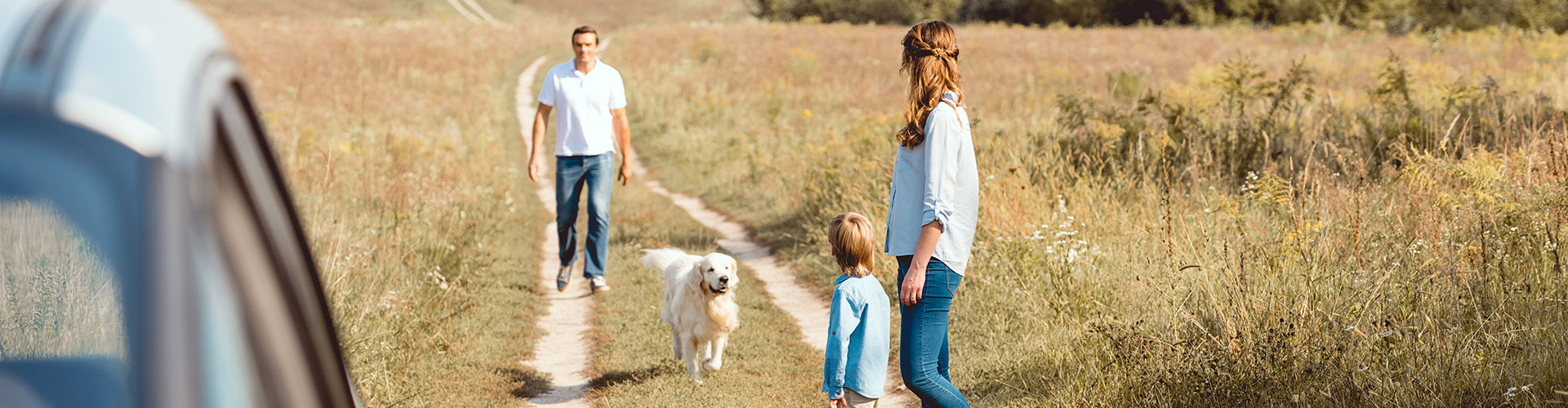 10 Tipps für stressfreie Autoreisen mit Haustieren: Sicher und ...